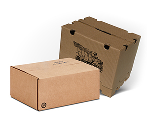 Folding Cartons - [20% Extra Cartons] Only This Month